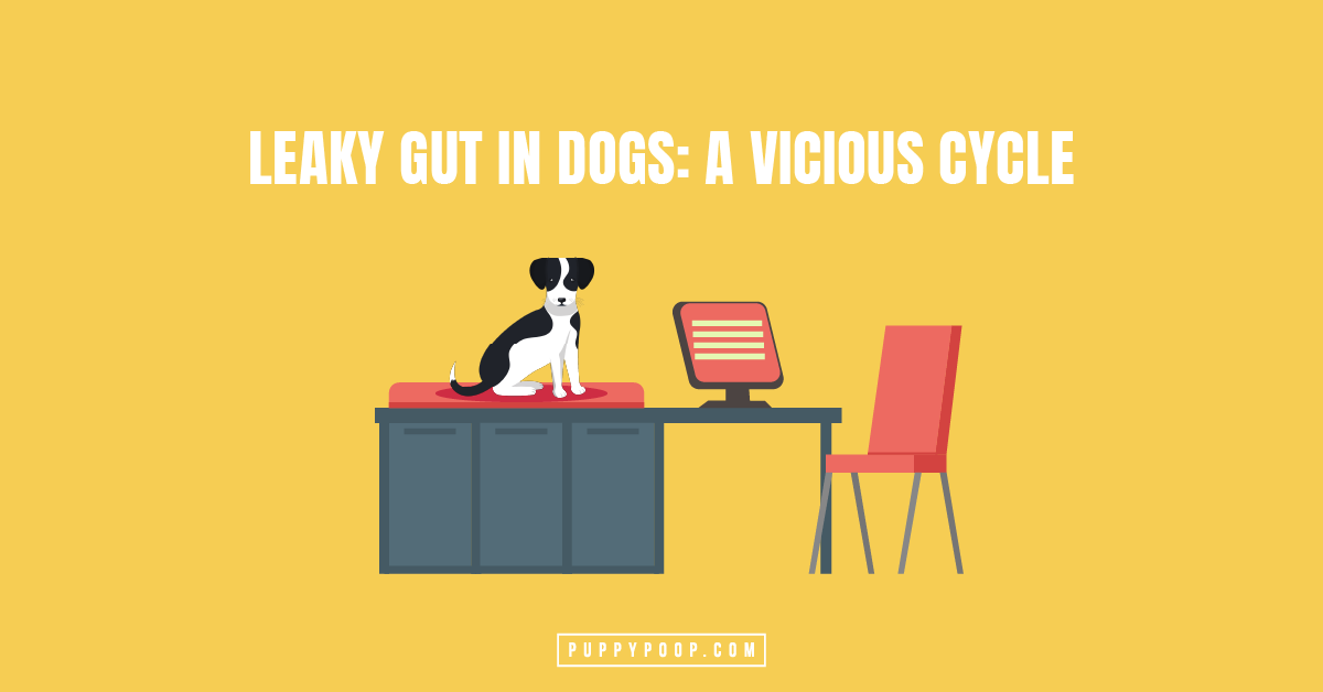 How to Treat Leaky Gut In Dogs Before It Leads to Serious Health Issues